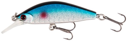 Wobler Mikado Mambo 4cm 4,8gr Blue Roach Potápivý | Tropic Fishing